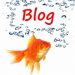 Different Ways Kids Learn to Blog Kids Learn To Blog — Blogging for ...